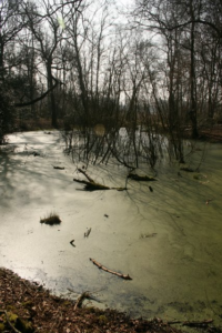 Discover the Pingos of Rural Norfolk: An Ice Age Relic