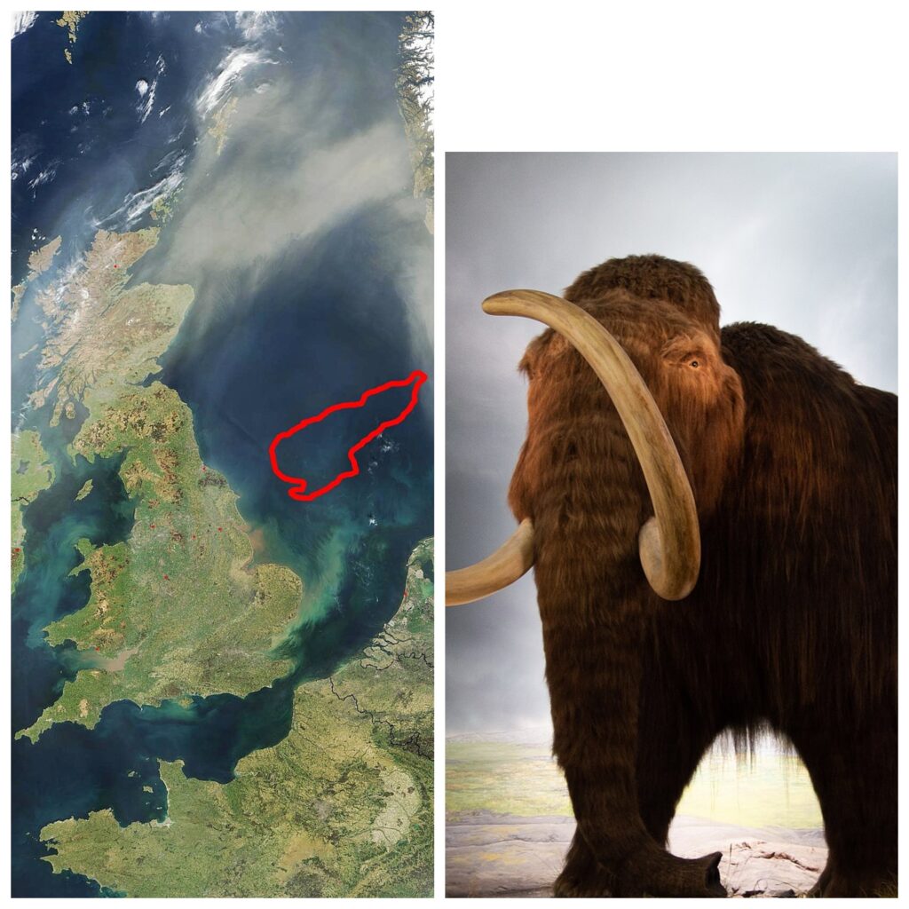 Ancient Archives - Page 4 of 5 - RuralHistoria