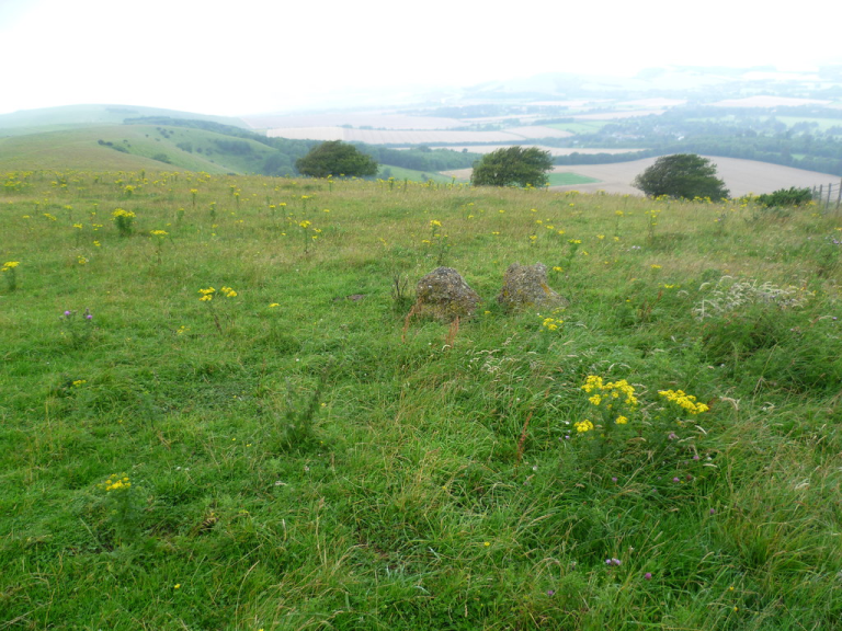 What are Chalk Downlands: 100 Million Years of History - RuralHistoria