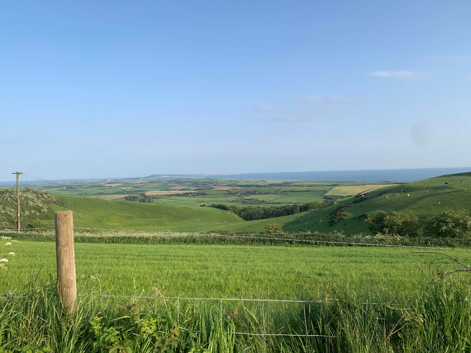 What are Chalk Downlands: 100 Million Years of History - RuralHistoria