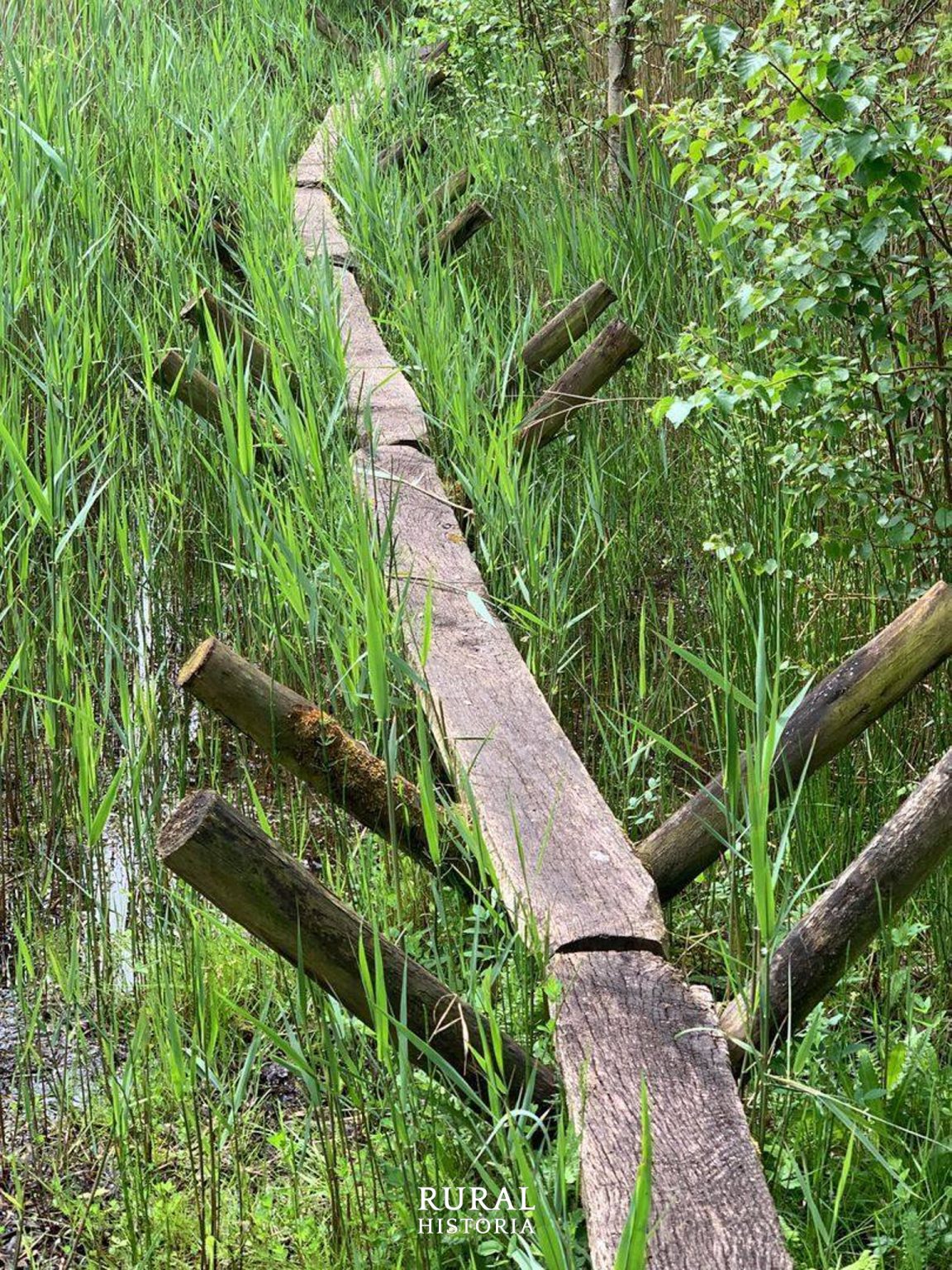 The Neolithic Sweet Track in Somerset - RuralHistoria