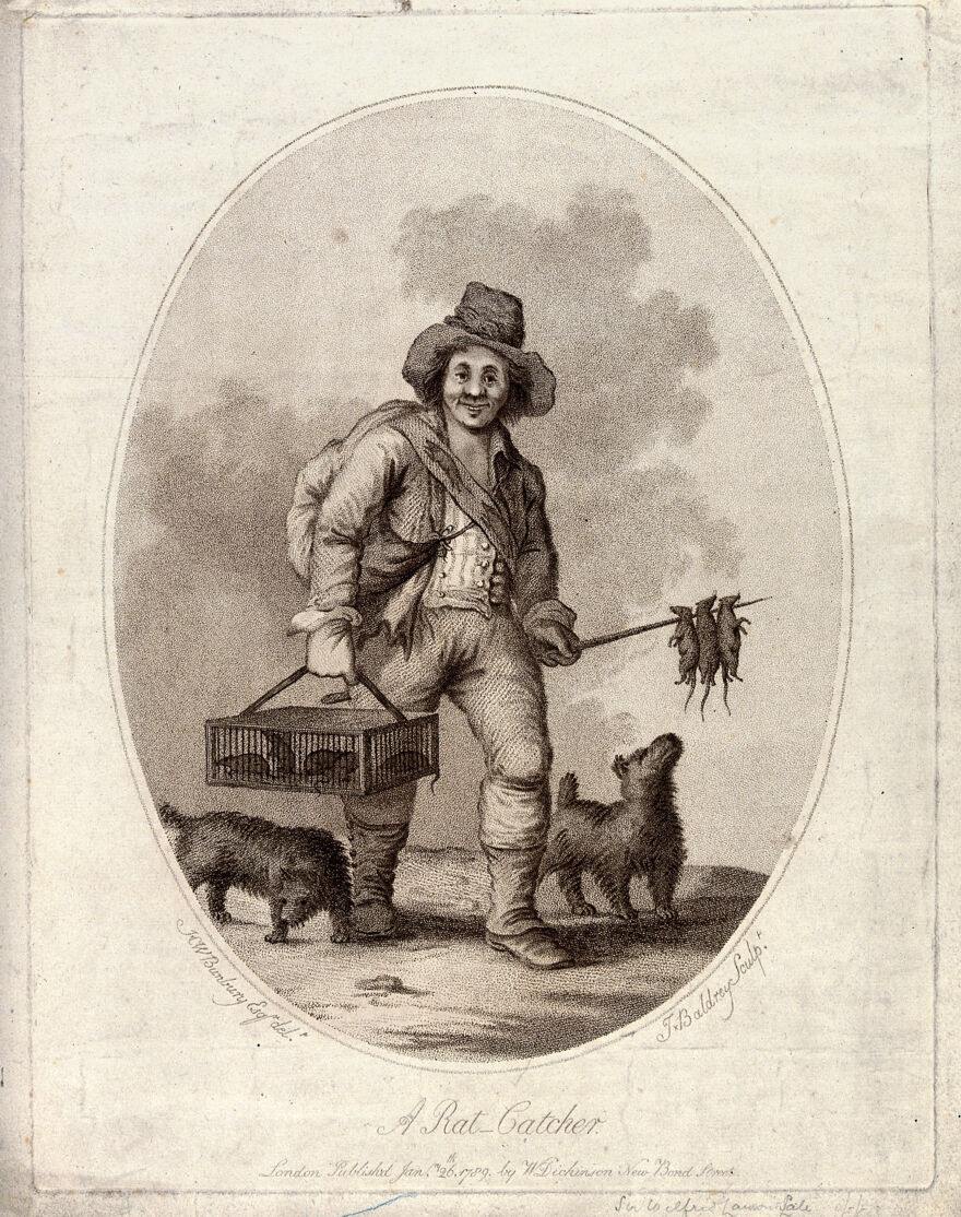 From Dark Alleys to the Cities: The Rat Catchers of Britain - RuralHistoria